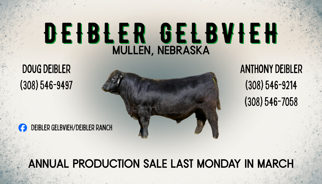 Deibler Gelbvieh Ranch | Mullen, NE